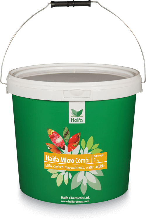 Hidalgo | Productos - invernadero